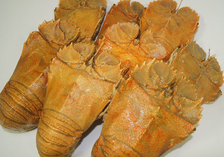 Moreton Bay Bug Meat ... Fresh Wild Caught - Gold Coast Moreton Bay Bug Meat ... Fresh Wild Caught - Gold Coast