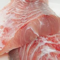 Fresh Fillet's, Steak's & Portion's Archives - Gold Coast